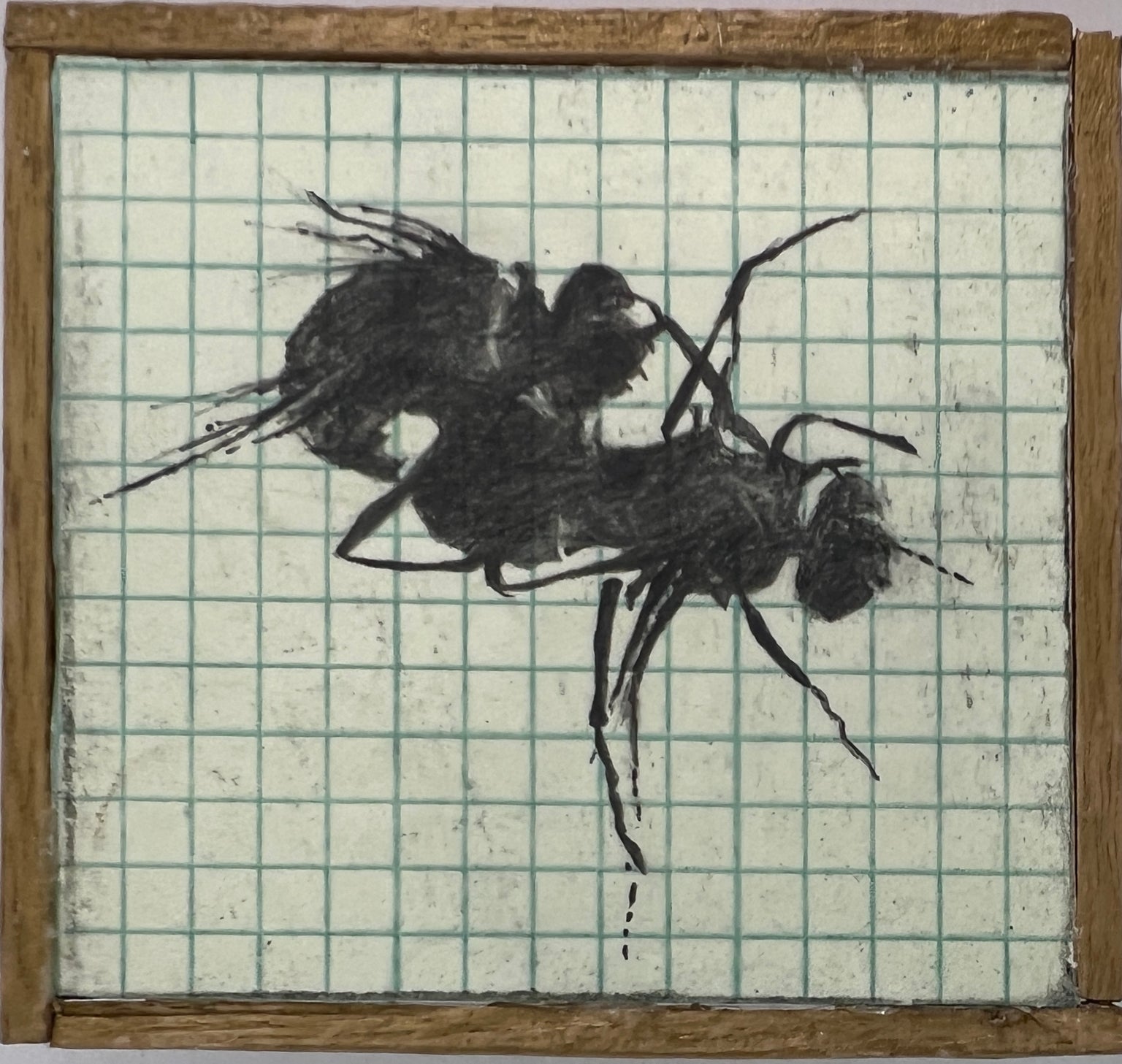 David Fullarton — The Compound Gallery