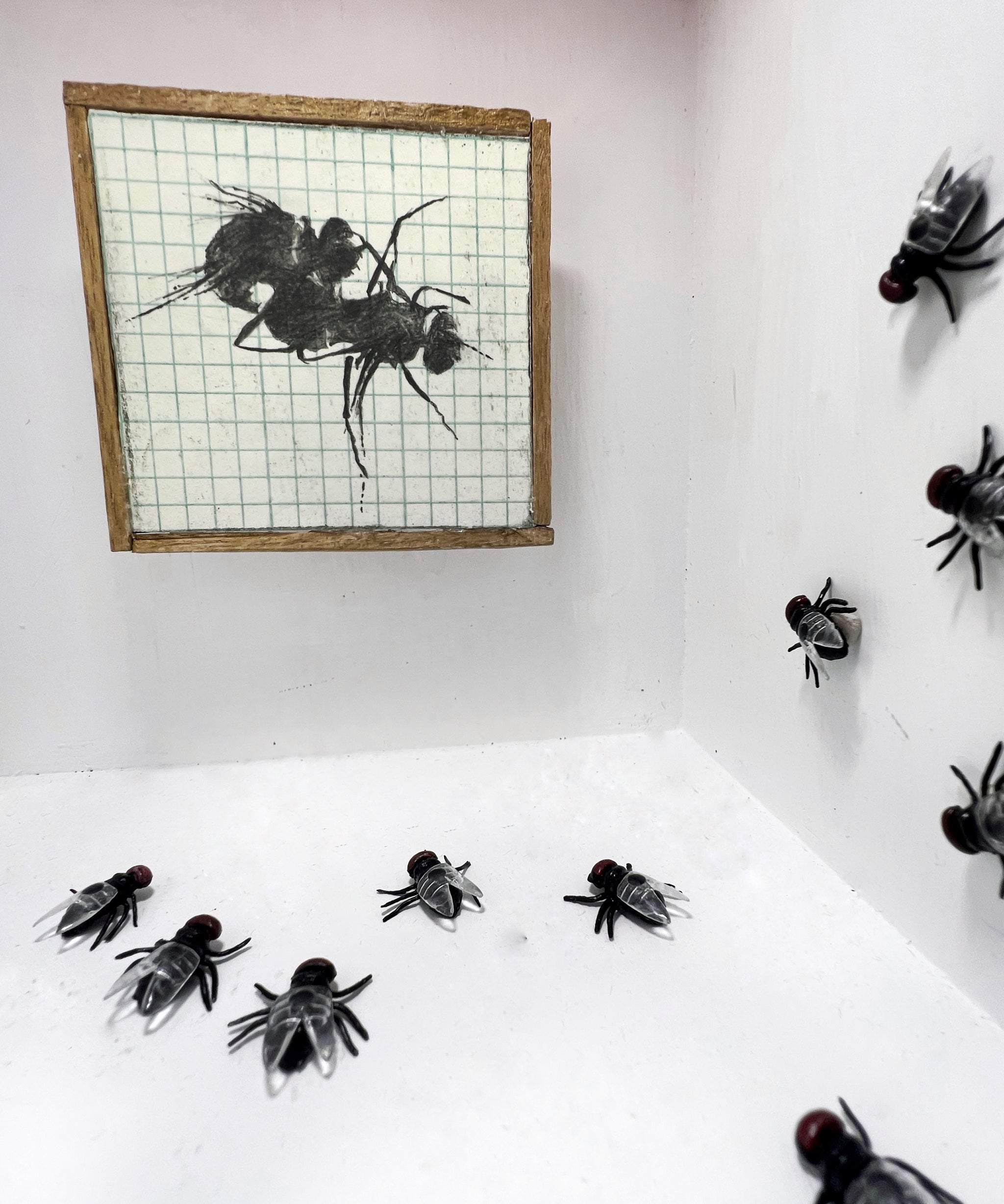 David Fullarton — The Compound Gallery