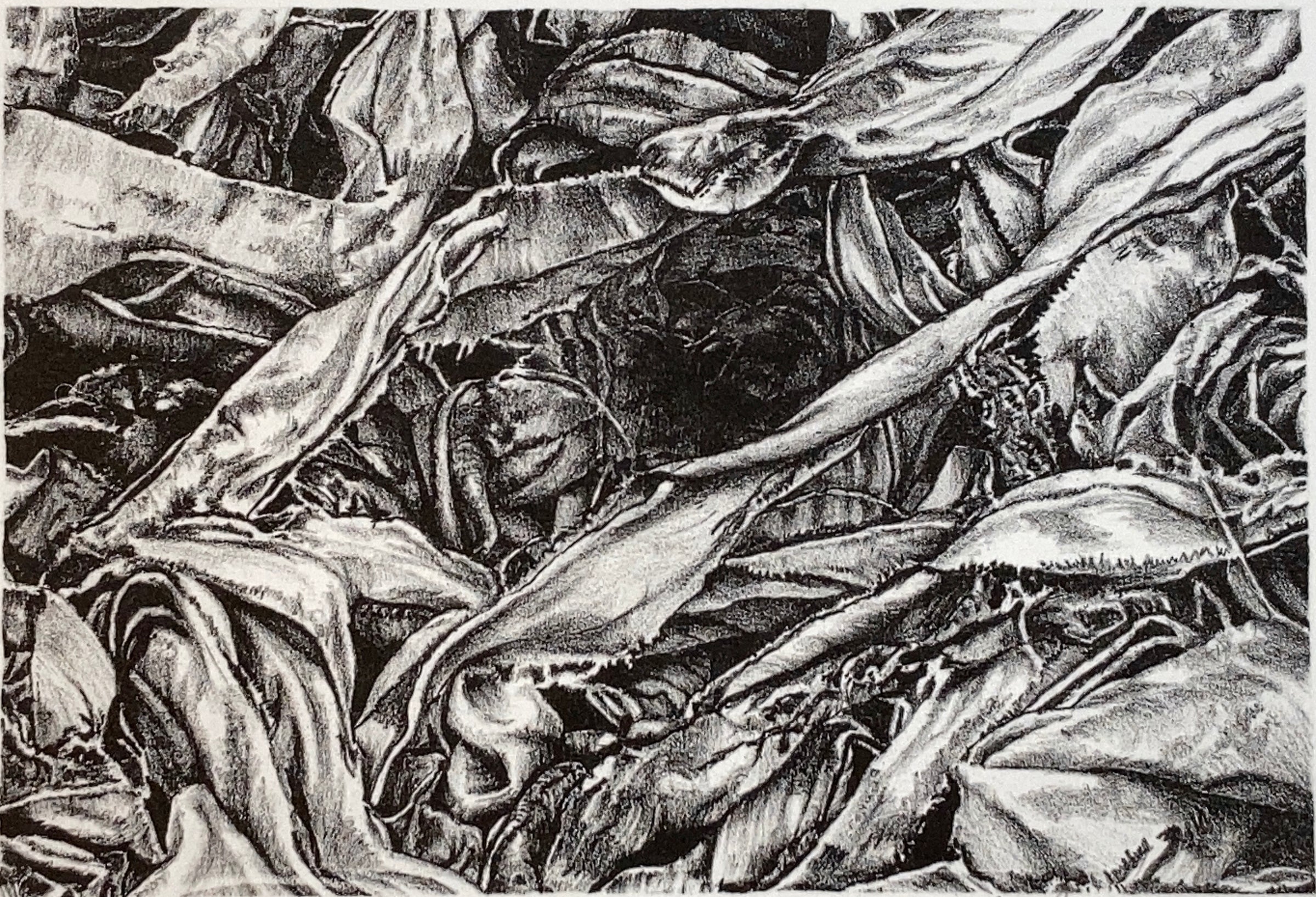 Linen Study — The Compound Gallery