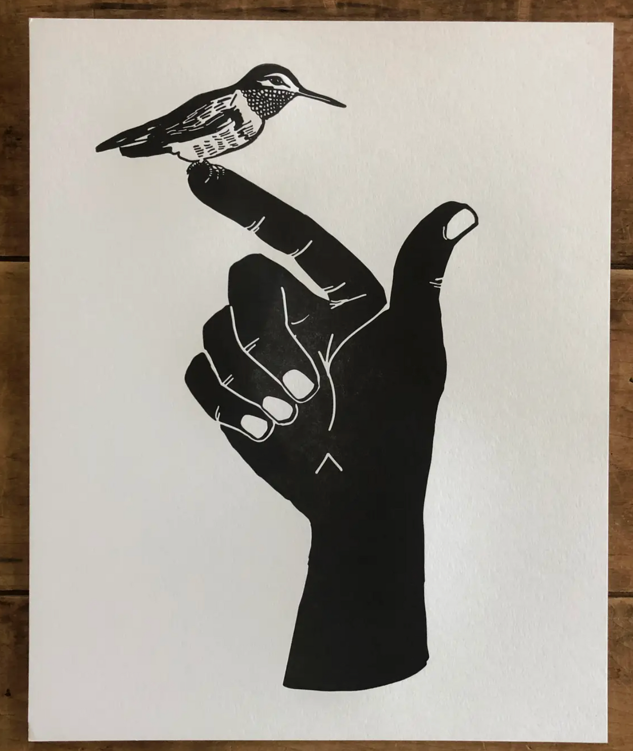 Hummingbird on Hand — The Compound Gallery